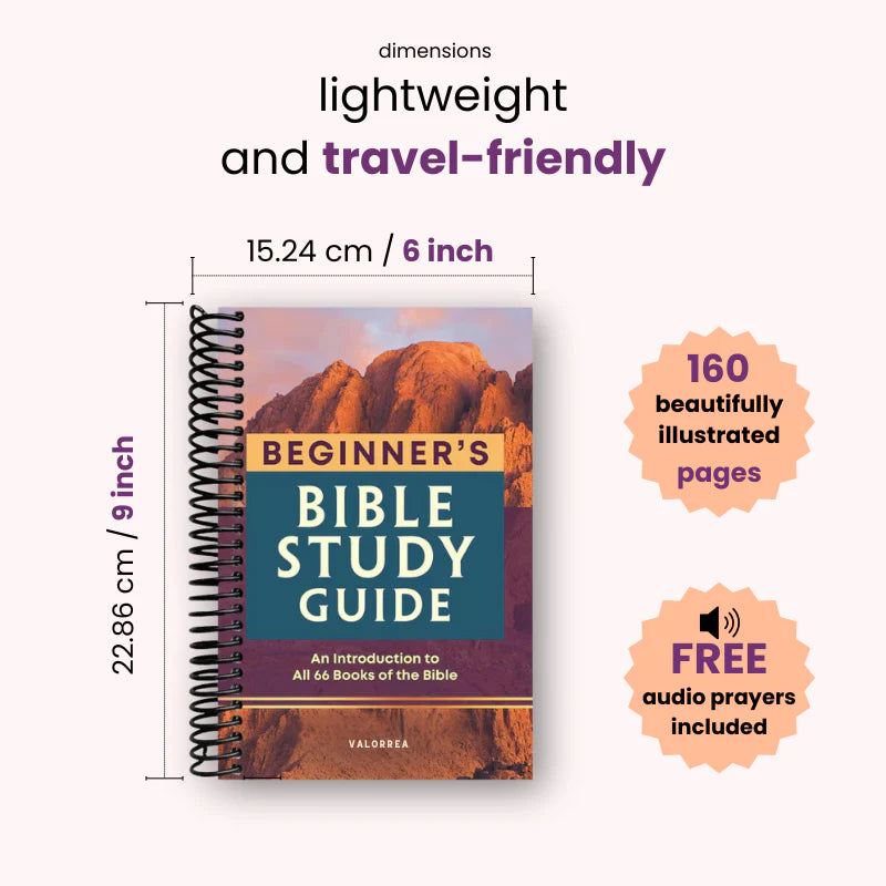 Bible Study Guide: All 66 Books of the Bible – Venator Commerce